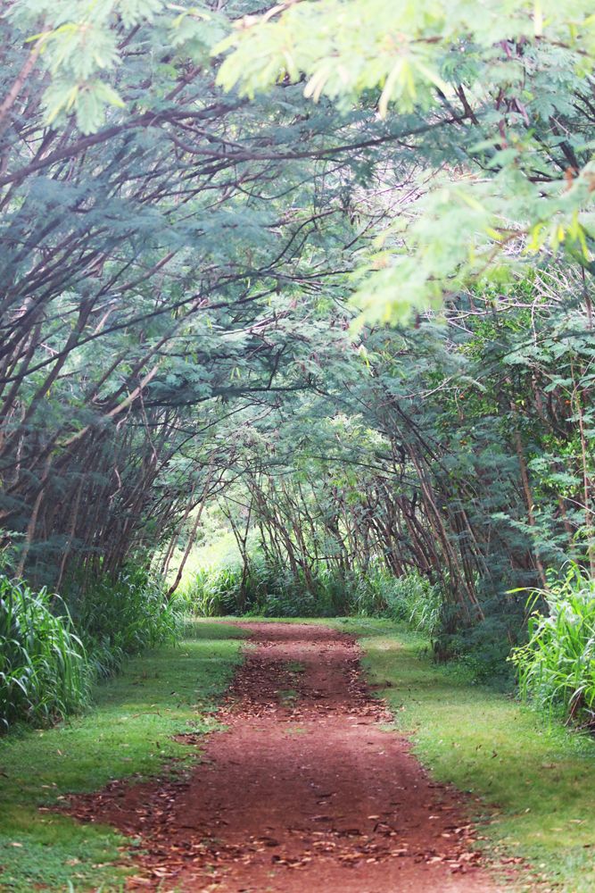 Paths by Gerry Wilson | CloudFolios.Com