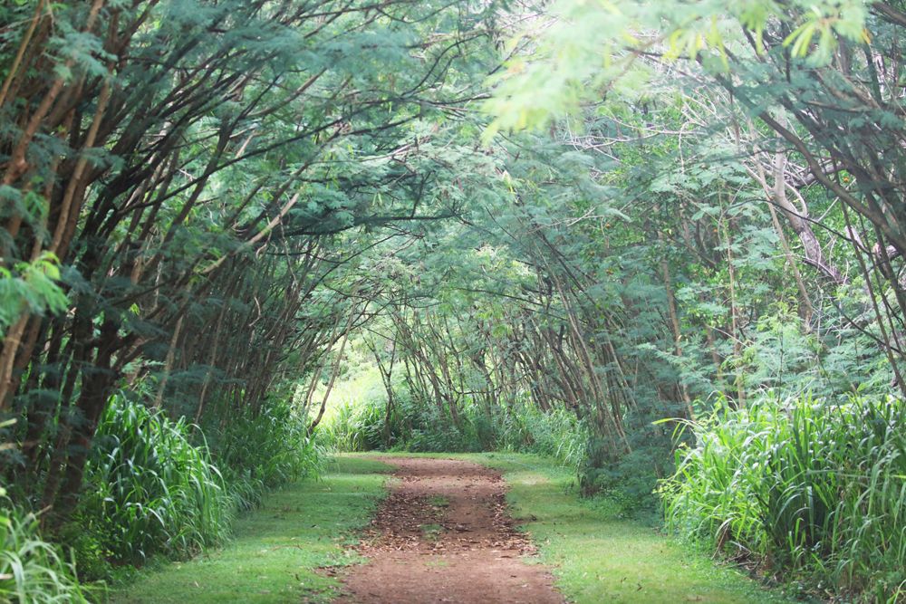 Paths by Gerry Wilson | CloudFolios.Com